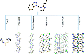 Anion-dependent assemblies of a series of Cd(ii) coordination complexes based on an asymmetric ...
