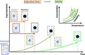 Relation between metastable zone width and induction time of butyl ...