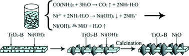TiO2-B nanoribbons anchored with NiO nanosheets as hybrid anode ...