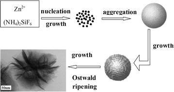 3D hierarchical ZnOHF nanostructures: synthesis, characterization and ...