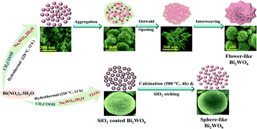 Synthesis of homogeneous sphere-like Bi2WO6 nanostructure by silica ...