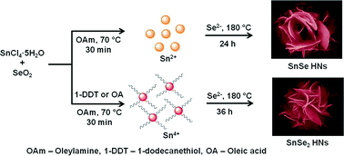 Phase controlled synthesis of SnSe and SnSe2 hierarchical ...
