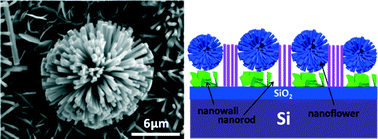Controlled growth of ZnO nanoflowers on nanowall and nanorod networks ...