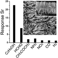 Ethanol gas sensor based on a self-supporting hierarchical SnO2 ...