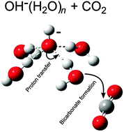 CO2 incorporation in hydroxide and hydroperoxide containing water ...