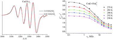 Study of structural and dynamic characteristics of copper(ii) amino ...