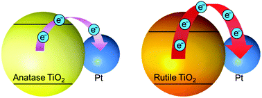 Significant enhancement of photocatalytic activity of rutile TiO2 ...