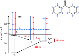 Gas phase dynamics of triplet formation in benzophenone - Physical ...