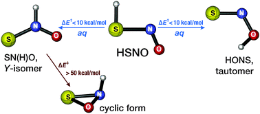 On the possible biological relevance of HSNO isomers: a computational ...