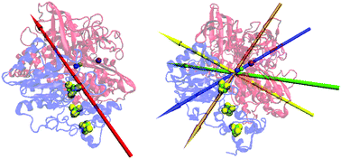 The weak, fluctuating, dipole moment of membrane-bound hydrogenase from ...