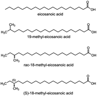 Self-assembly of long chain fatty acids: effect of a methyl branch ...