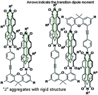 Covalently linked perylenetetracarboxylic diimide dimers and trimers ...