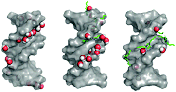 An insight into structure and stability of DNA in ionic liquids from ...