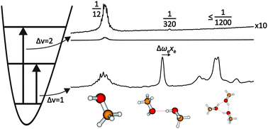 Alcohol dimers – how much diagonal OH anharmonicity? - Physical ...