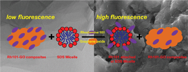 Rhodamine 101–graphene oxide composites in aqueous solution: the ...