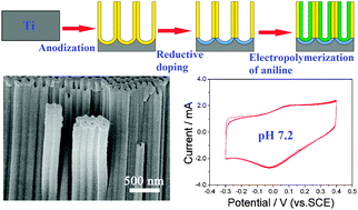 Enhanced electroactivity at physiological pH for polyaniline in three ...