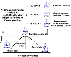 Uncovering the roles of oxygen vacancies in cation migration in lithium ...