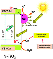 Enhanced photocatalytic performance at a Au/N–TiO2 hollow nanowire ...