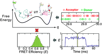Fast single-molecule FRET spectroscopy: theory and experiment ...