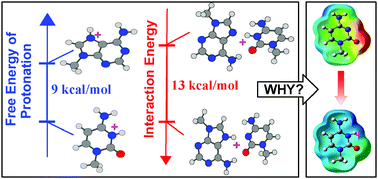 Feasibility of occurrence of different types of protonated base pairs ...