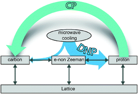 Cross-polarization for dissolution dynamic nuclear polarization ...