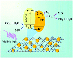 Constructing atomic layer g-C3N4–CdS nanoheterojunctions with ...