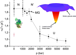 Pressure-induced molten globule state of human acetylcholinesterase ...