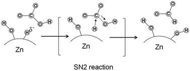 New insights into highly efficient reduction of CO2 to formic acid by ...