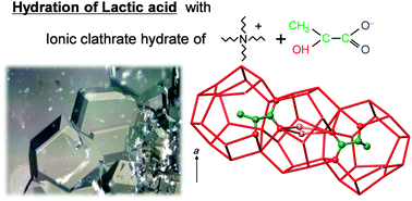 Hydration structures of lactic acid: characterization of the ionic ...
