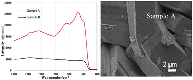 Phonon modes of MgB2: super-lattice structures and spectral response ...