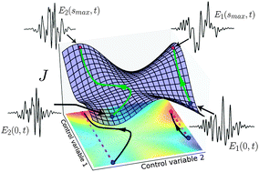 Exploring the complexity of quantum control optimization trajectories ...