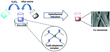Cu(ii)–alkyl amine complex mediated hydrothermal synthesis of Cu ...