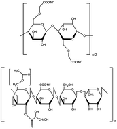 On the interaction of water-soluble binders and nano silicon particles ...