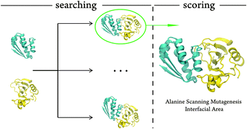 A new scoring function for protein–protein docking that identifies ...