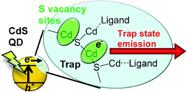 Origin of surface trap states in CdS quantum dots: relationship between ...
