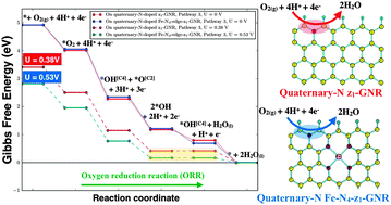 Oxygen reduction reaction on neighboring Fe–N4 and quaternary-N sites ...