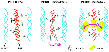 A comprehensive study of sulfonated carbon materials as conductive ...