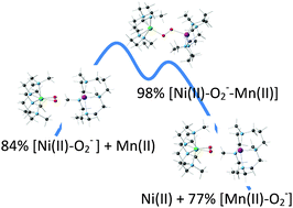 Electronic structure aspects of the complete O2 transfer reaction ...