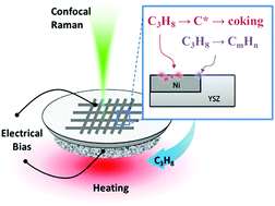 An operando surface enhanced Raman spectroscopy (SERS) study of carbon ...