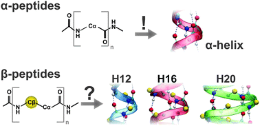 Native like helices in a specially designed β peptide in the gas phase ...