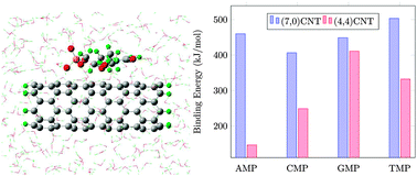 A QM:MM model for the interaction of DNA nucleotides with carbon ...