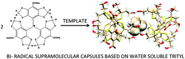 Self-assembled trityl radical capsules – implications for dynamic ...