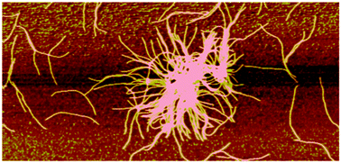 DNA driven self-assembly of micron-sized rods using DNA-grafted ...