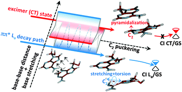 Excited state evolution of DNA stacked adenines resolved at the CASPT2 ...