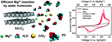 Activation of a MnO2 cathode by water-stimulated Mg2+ insertion for a ...