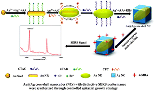 Au@Ag core–shell nanocubes: epitaxial growth synthesis and surface ...
