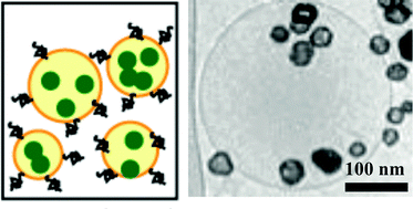 Inside-outside self-assembly of light-activated fast-release liposomes ...