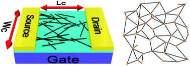 Electrical percolation thresholds of semiconducting single-walled ...