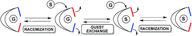 Gated molecular baskets - Chemical Society Reviews (RSC Publishing)