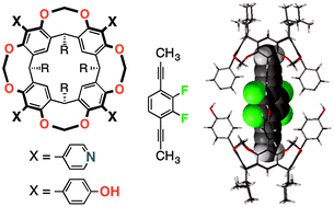 Self-assembled capsules based on tetrafunctionalized calix[4 ...